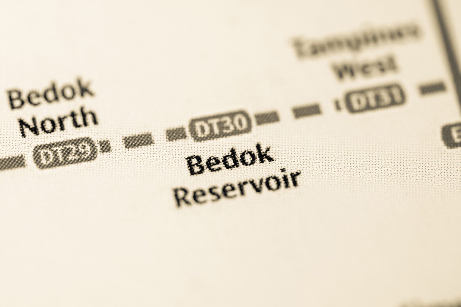 Discover the Charms of Bedok Reservoir - Frontline